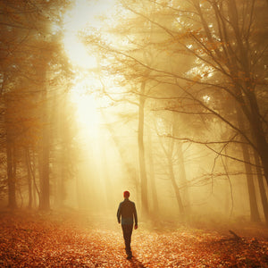 Panasonic 4K Streaming Blu-ray Player with Dobly Vision 7.1, Ultra HD ...