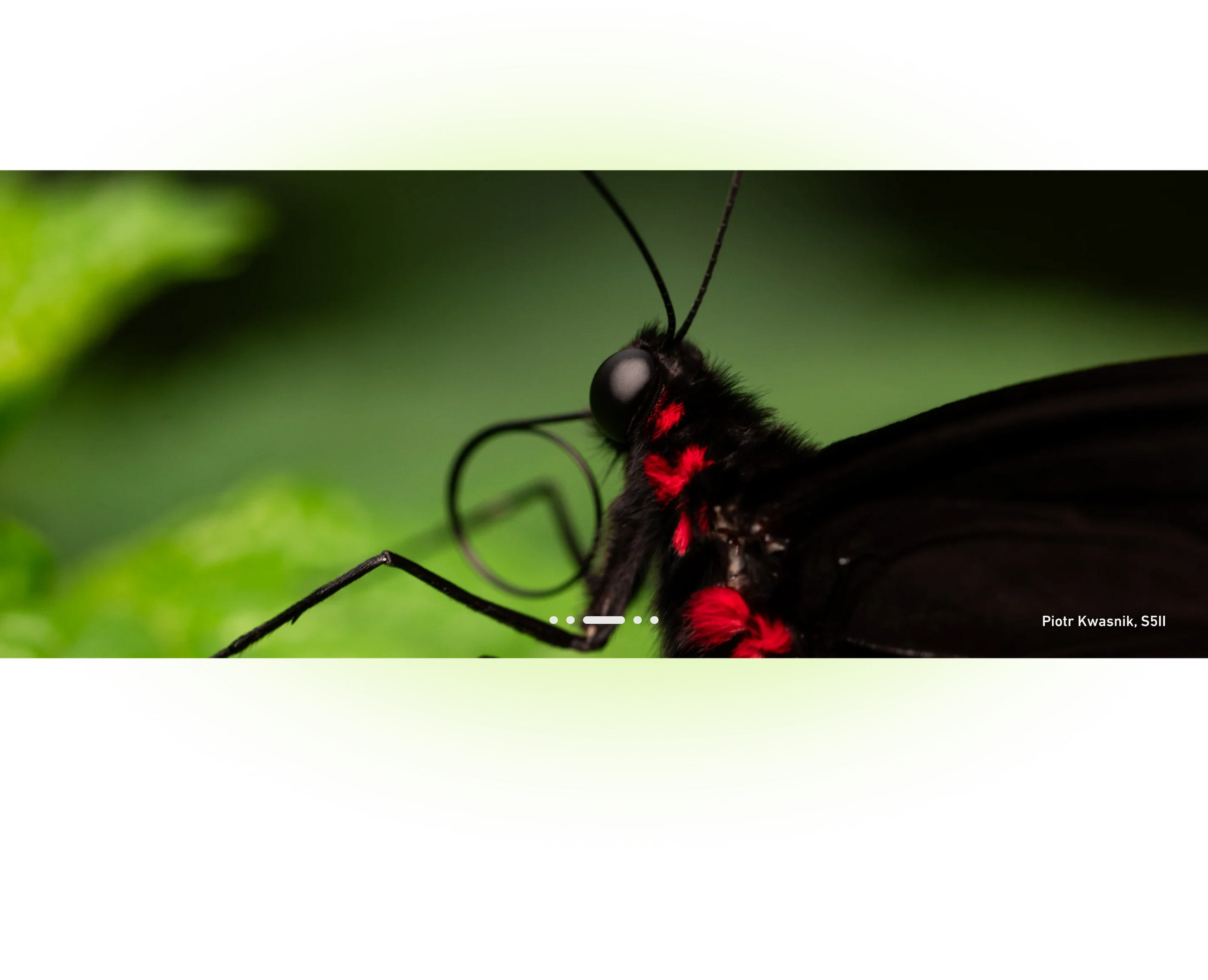 LUMIX Color Science
